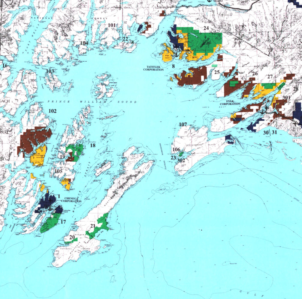 Bear Burritos & 21 Year of Dedication - Chugach Corp