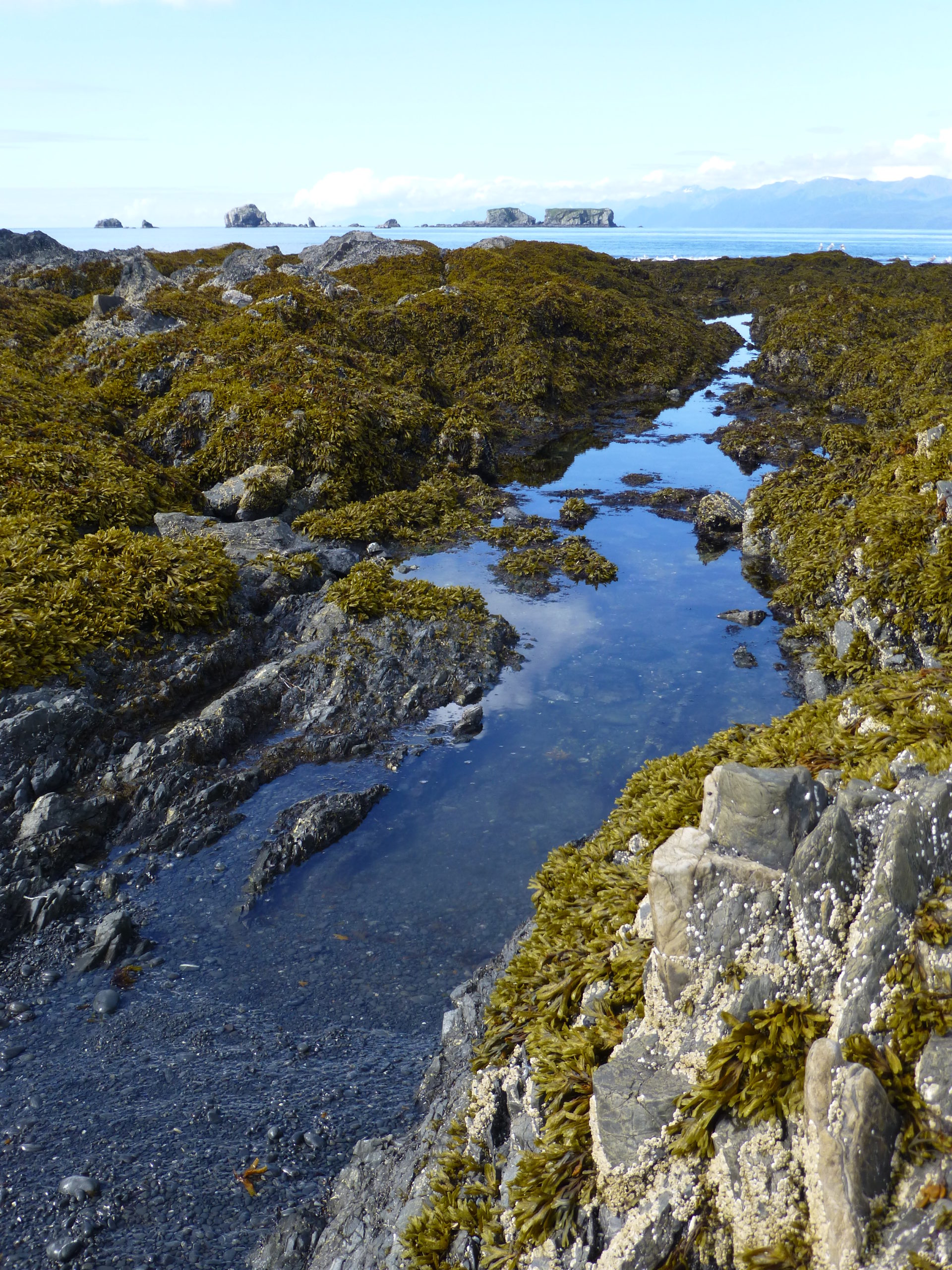 Chugach's Core Behaviors Lead to Success - Chugach Corp