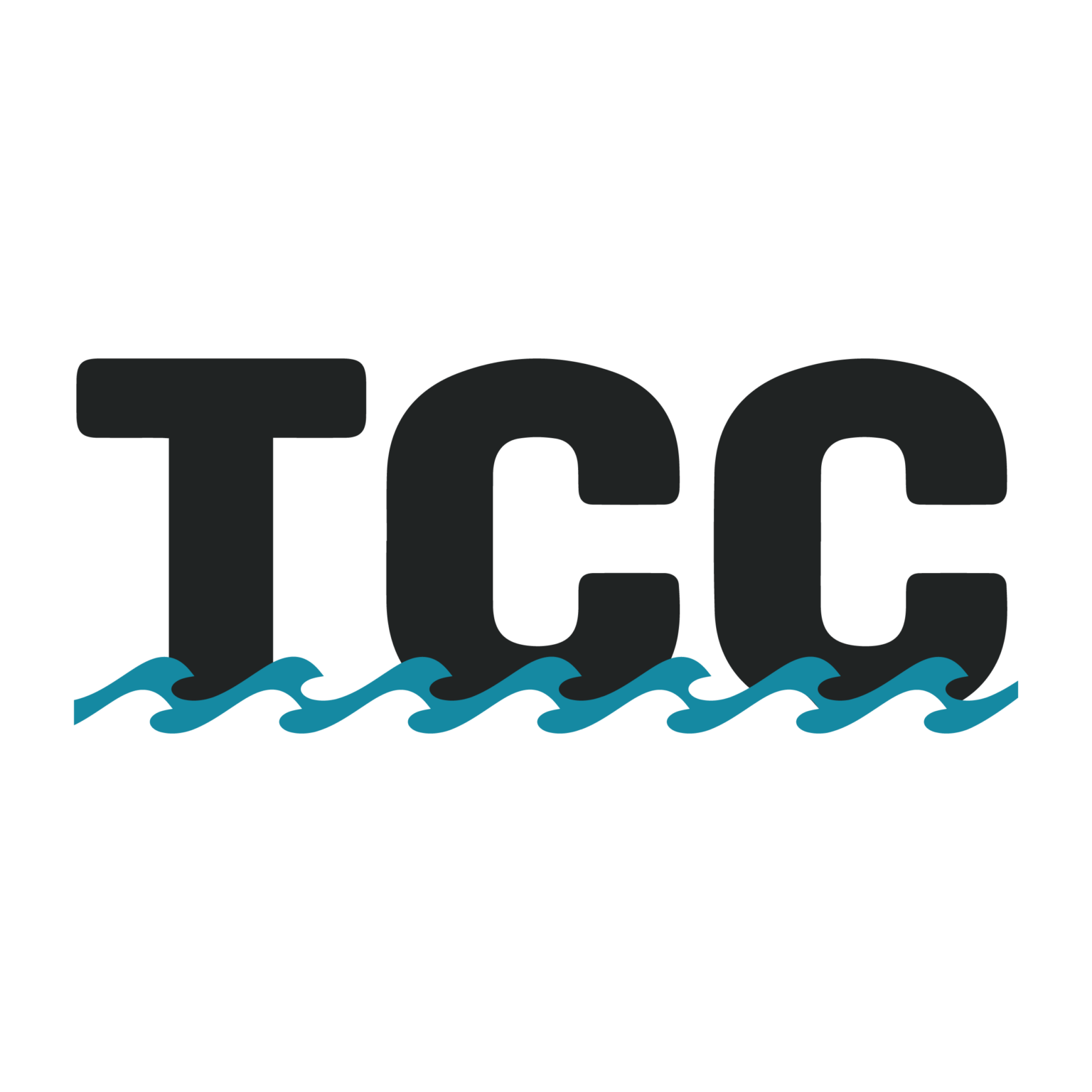 Richard Randazzo Takes Helm At TCC - Chugach Corp